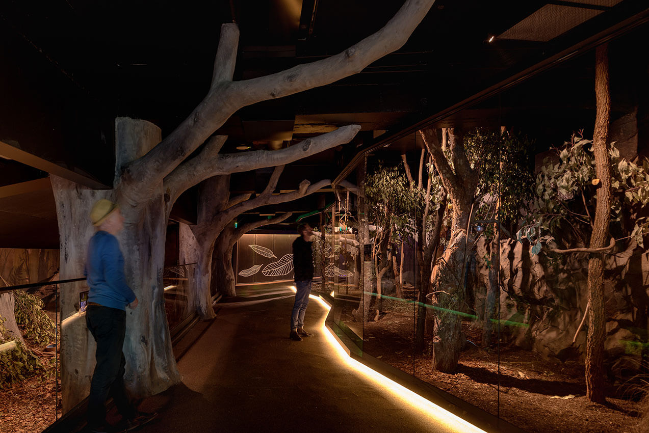 Taronga Nura Diya Australia Experience | lahznimmo architects ...